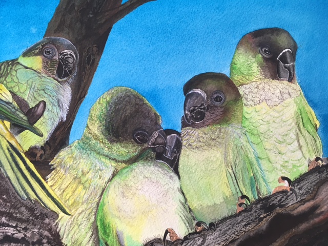 Interview with Edmonton Artist Maureen Donovan | Art World Expo